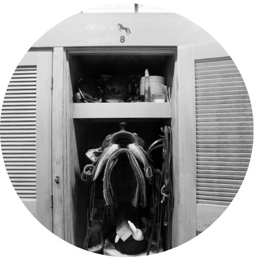 Stable & Yard - Tack Storage | eQuestri Online Tack Shop